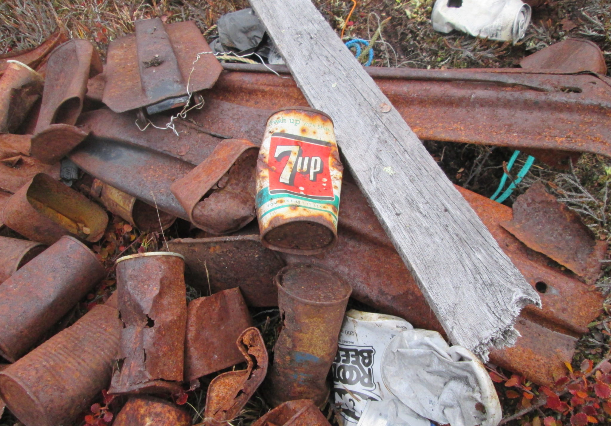 Snow Leopard: Species Facts, Info & More | WWF.CA