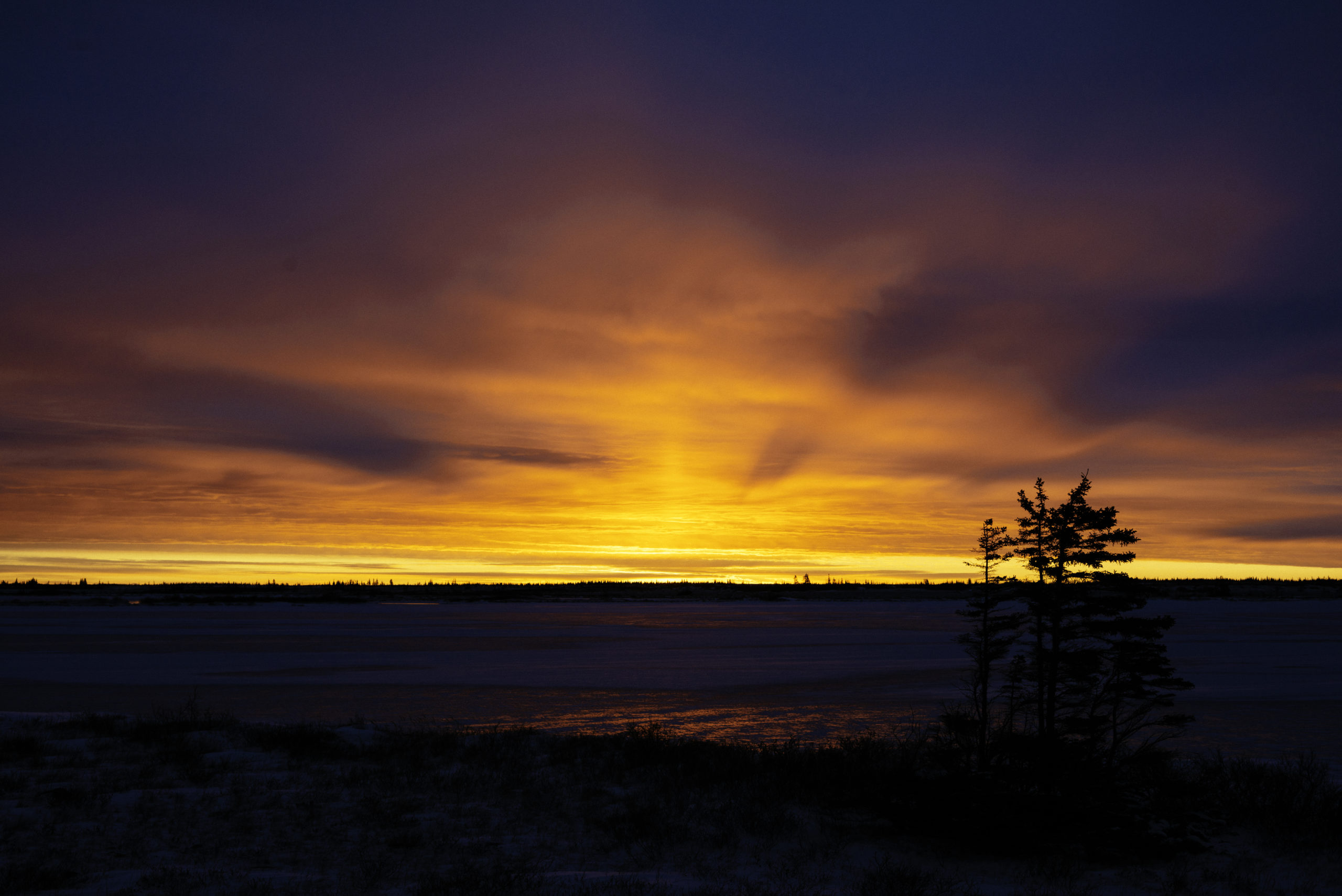 Our commitment to truth and reconciliation - WWF.CA