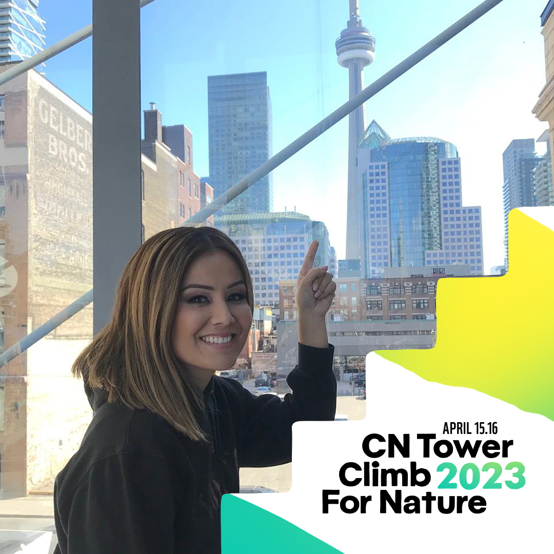 Meet some of the CN Tower climbers helping fundraise $1 million for ...
