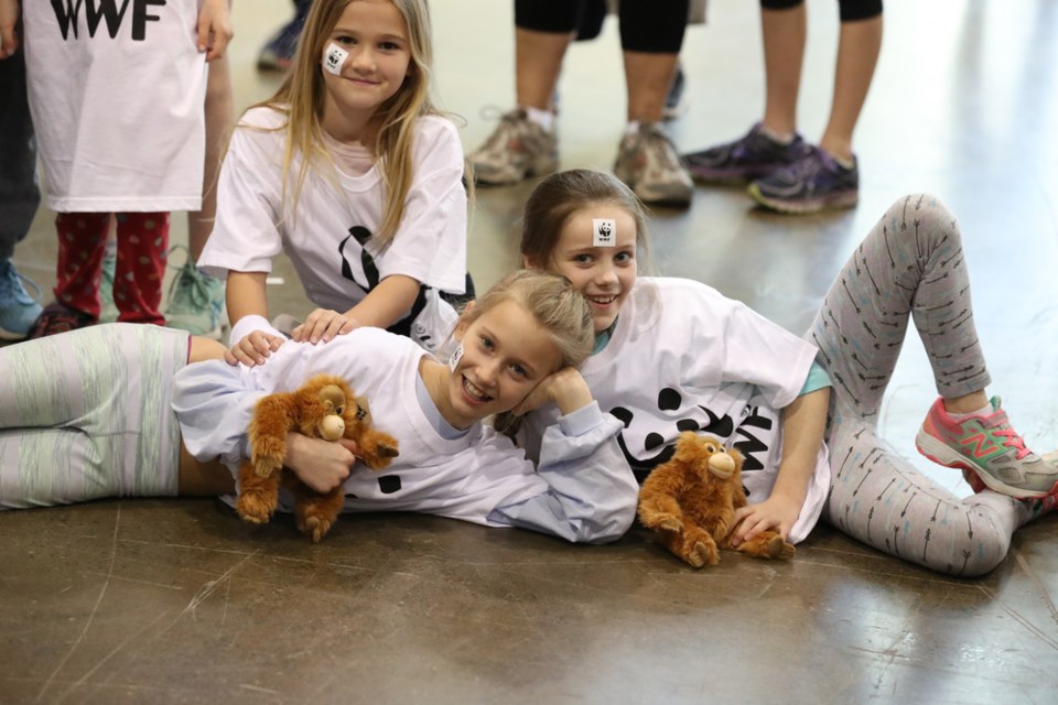 5 reasons West Coast wildlife fans will want to climb BC Place’s ...