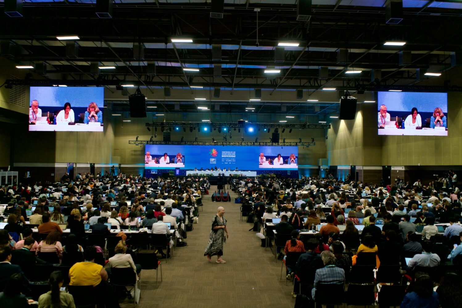 COP16 comes together for Indigenous Peoples, falls apart on nature funding - WWF.CA